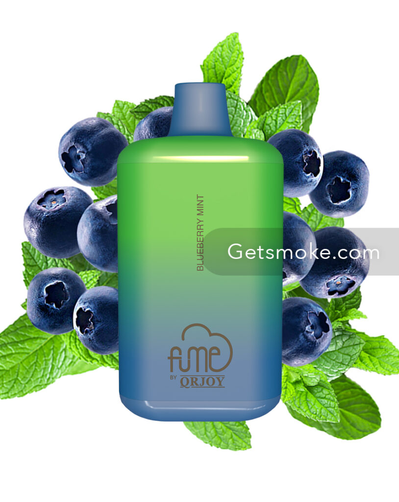 Blueberry Mint Fume Zero Recharge Disposable Vape - getsmoke