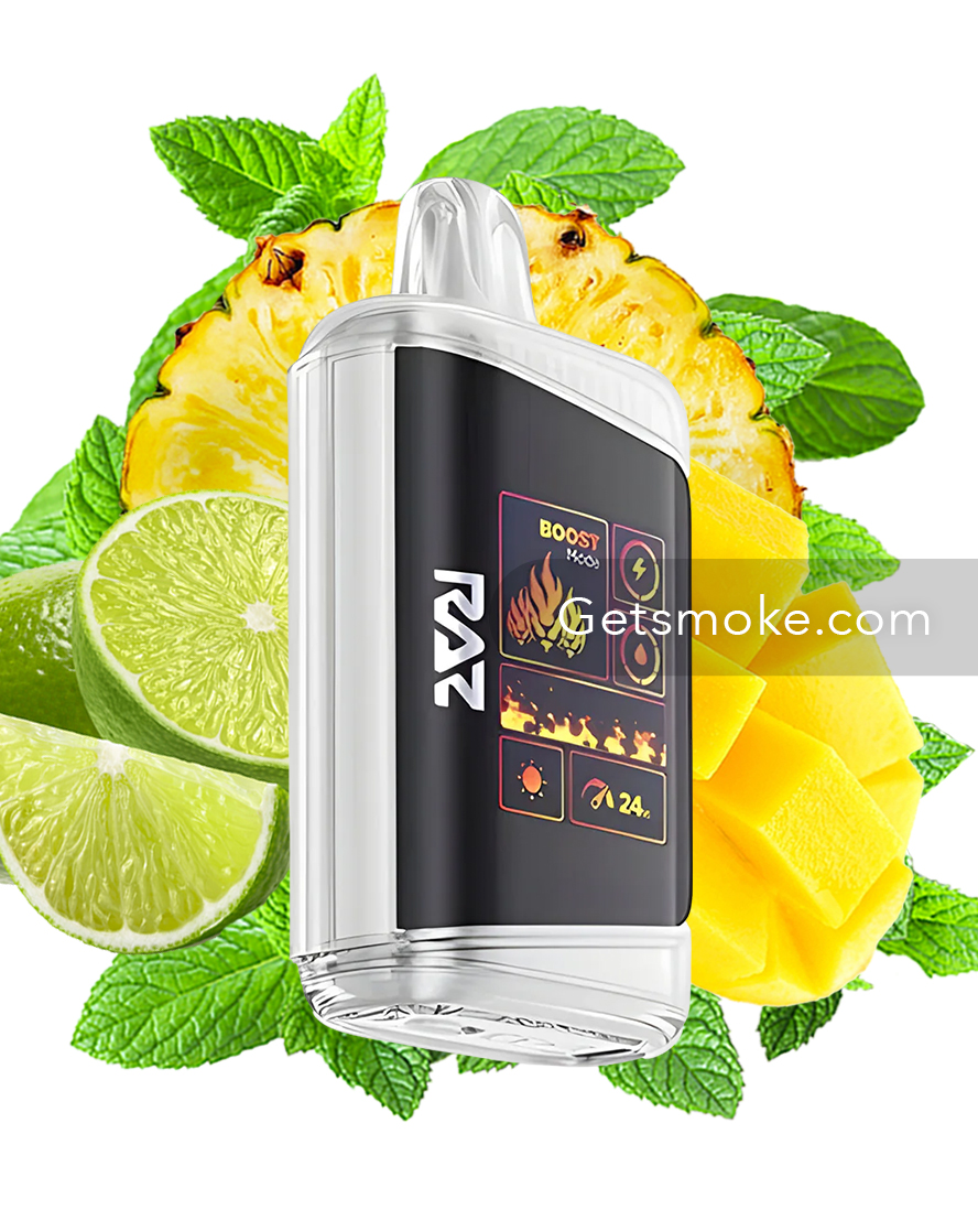 Miami Mint RAZ DC25000 Disposable Vape - getsmoke